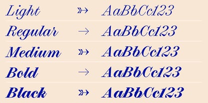 Selva Script Font | Webfont & Desktop | MyFonts