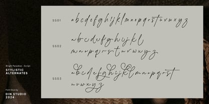 Brighter Paradise Font | Webfont & Desktop | MyFonts