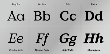 Value Serif Font | Webfont & Desktop | MyFonts