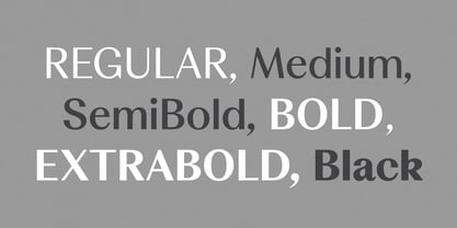 Weave Font | Webfont & Desktop | MyFonts