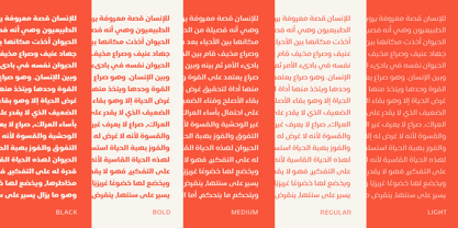 Shaheen Arabic Font | Webfont & Desktop | MyFonts
