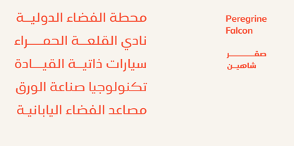 Shaheen Arabic Font | Webfont & Desktop | MyFonts