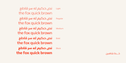 Shaheen Arabic Font | Webfont & Desktop | MyFonts