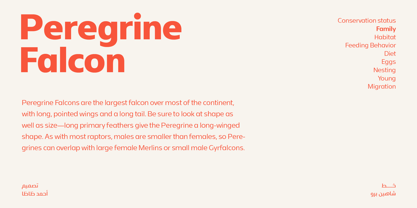 Shaheen Arabic Font | Webfont & Desktop | MyFonts