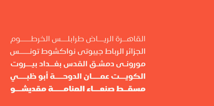 Shaheen Arabic Font | Webfont & Desktop | MyFonts