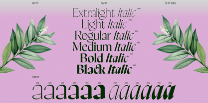 Pahin Variable Fuente | Webfont & Desktop | MyFonts