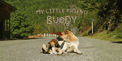 STM Playground Font | Webfont & Desktop | MyFonts