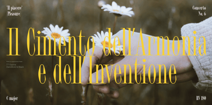 TT Espina Font | Webfont & Desktop | MyFonts