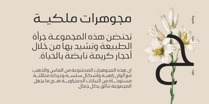 Layla arabic Font | Webfont & Desktop | MyFonts