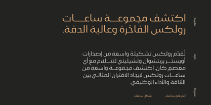 Layla arabic Font | Webfont & Desktop | MyFonts