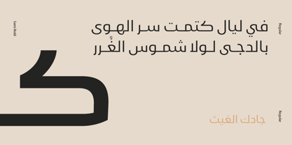 Layla arabic Font | Webfont & Desktop | MyFonts