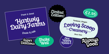 STM HuckleberryScript Font | Webfont & Desktop | MyFonts