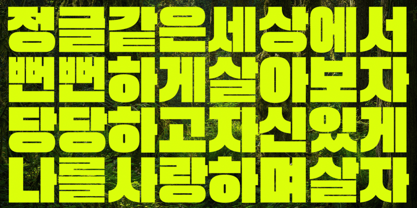 210 Supersize Font | Webfont & Desktop | MyFonts