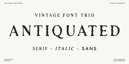 TC Antiquated Font | Webfont & Desktop | MyFonts