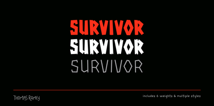 Survivor Font | Webfont & Desktop | MyFonts