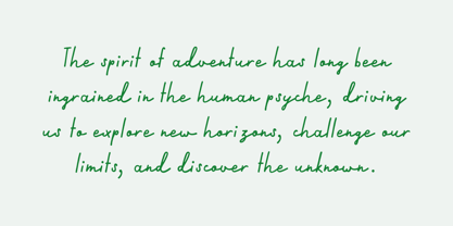 Calder Font | Webfont & Desktop | MyFonts