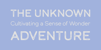 Calder Font | Webfont & Desktop | MyFonts