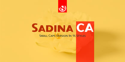 Sadina CA Font | Webfont & Desktop | MyFonts