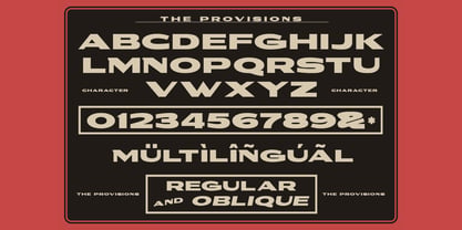 Provisions Font | Webfont & Desktop | MyFonts