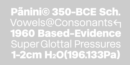 Fonetika Font | Webfont & Desktop | MyFonts