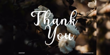 Janetha script Font | Webfont & Desktop | MyFonts