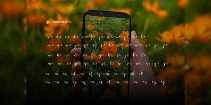 Janetha script Font | Webfont & Desktop | MyFonts