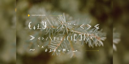 Janetha script Font | Webfont & Desktop | MyFonts