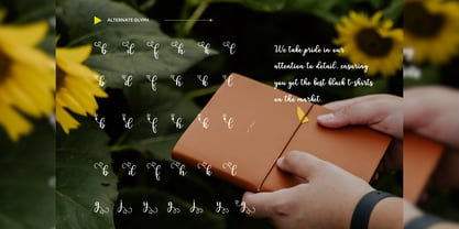 Janetha script Font | Webfont & Desktop | MyFonts