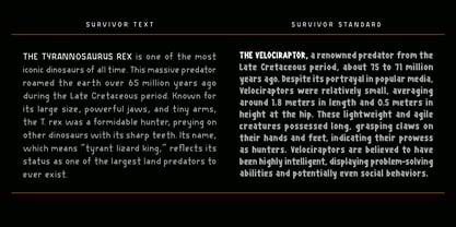 Survivor Font | Webfont & Desktop | MyFonts