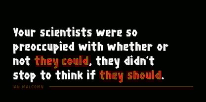 Survivor Font | Webfont & Desktop | MyFonts