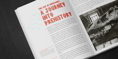 Survivor Font | Webfont & Desktop | MyFonts