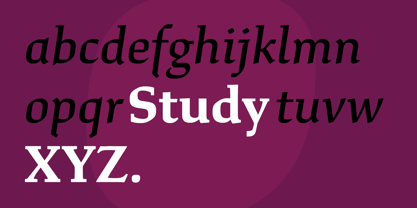 Study Font | Webfont & Desktop | MyFonts