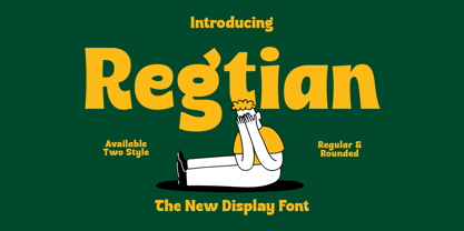 PC Regtian Font | Webfont & Desktop | MyFonts