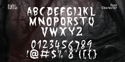 Night Secret Font | Webfont & Desktop | MyFonts