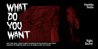 Night Secret Font | Webfont & Desktop | MyFonts