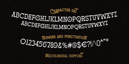 Blank Gunshot Font | Webfont & Desktop | MyFonts