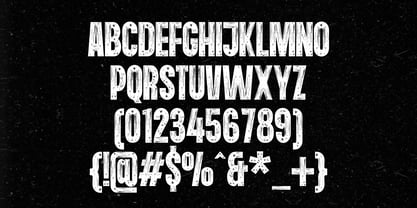 Domestic Prison Font | Webfont & Desktop | MyFonts