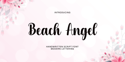 Beach Angel Font | Webfont & Desktop | MyFonts