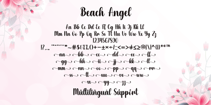 Beach Angel Font | Webfont & Desktop | MyFonts