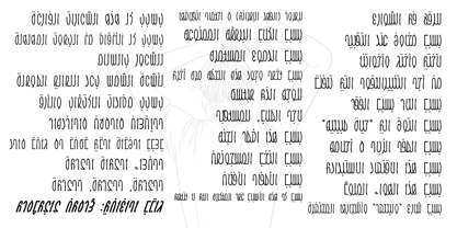 Zan Font | Webfont & Desktop | MyFonts