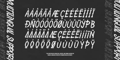 Polar Guide Font | Webfont & Desktop | MyFonts