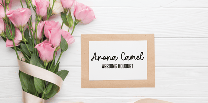 Absolute Smoothie Font | Webfont & Desktop | MyFonts