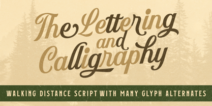 Walking Distance Font | Webfont & Desktop | MyFonts