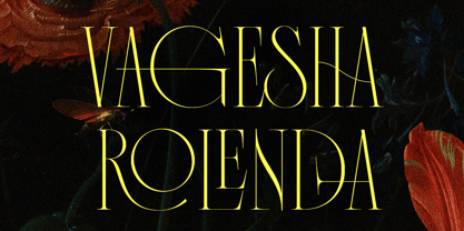 Vagesha Rolenda Font | Webfont & Desktop | MyFonts