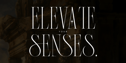 Vagesha Rolenda Font | Webfont & Desktop | MyFonts