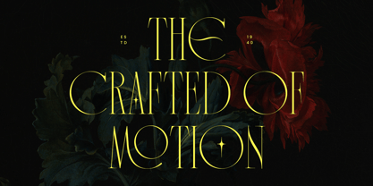Vagesha Rolenda Font | Webfont & Desktop | MyFonts