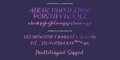 Botigood Script Font | Webfont & Desktop | MyFonts