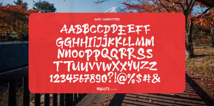 Ogenzi Font | Webfont & Desktop | MyFonts