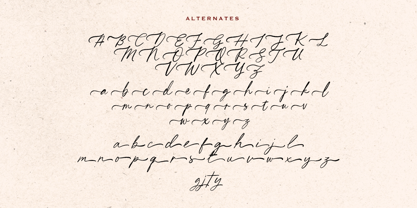 Ranstory Font | Webfont & Desktop | MyFonts