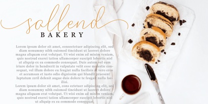 Mata Emely Font | Webfont & Desktop | MyFonts